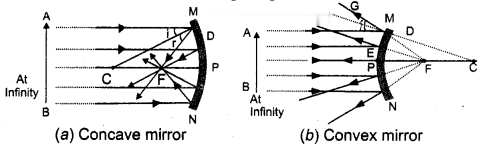 NCERT Class 10th Science Solutions Chapter 10 Light Reflection and ...