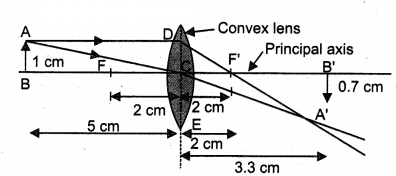 NCERT Class 10th Science Solutions Chapter 10 Light Reflection and ...
